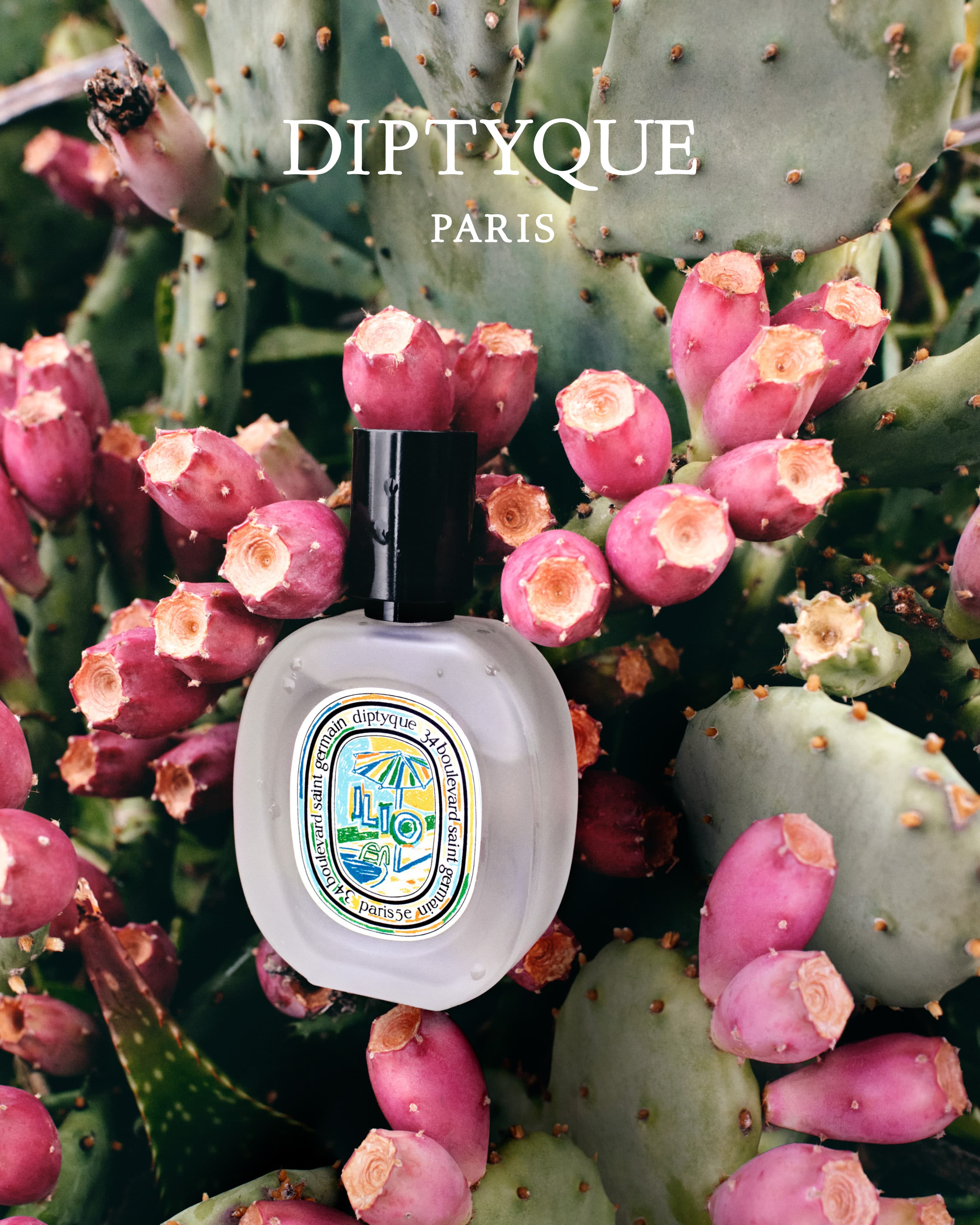 Diptyque | In Practice Studio